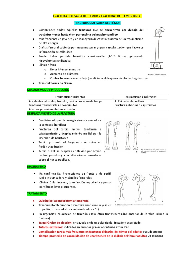 Fractura Diafisaria Del Fémur Diagnóstico Y Tratamiento Pdf