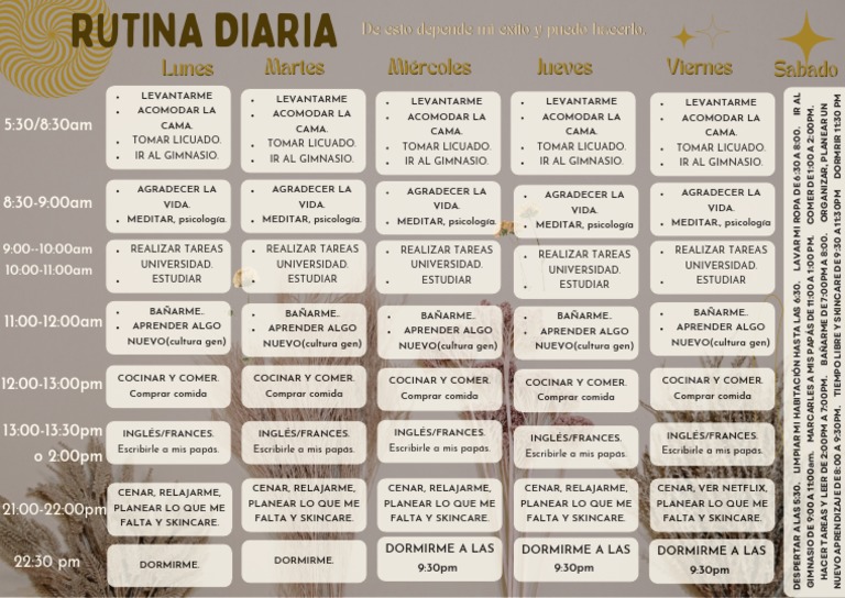 Rutina Diaria | PDF