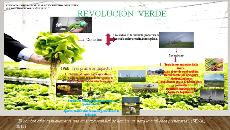 Infografia Revolucion Verde | PDF