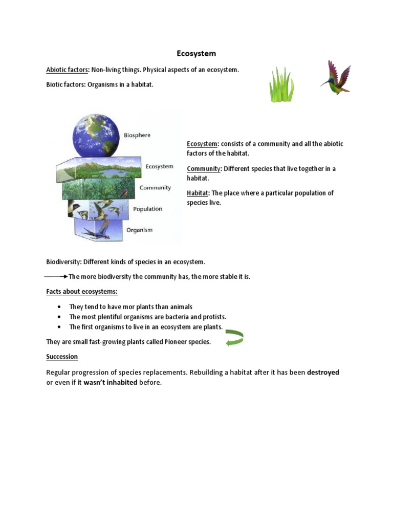 Ecosystem Summary | Download Free PDF | Ecosystem | Herbivore