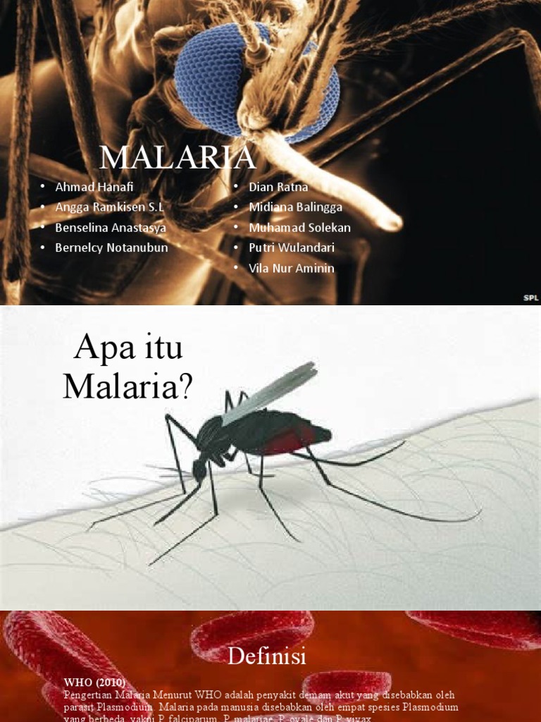 Panduan Lengkap tentang Malaria | PDF | Sains & Matematika