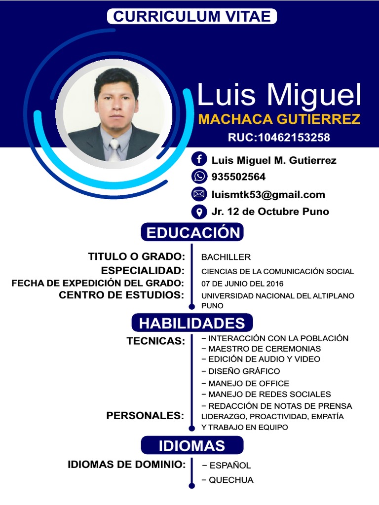 CV LUIS MIGUEL | PDF