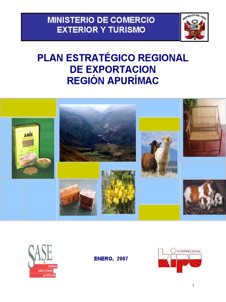 Perx Apurimac | Descargar gratis PDF | Planificación estratégica | Los bosques
