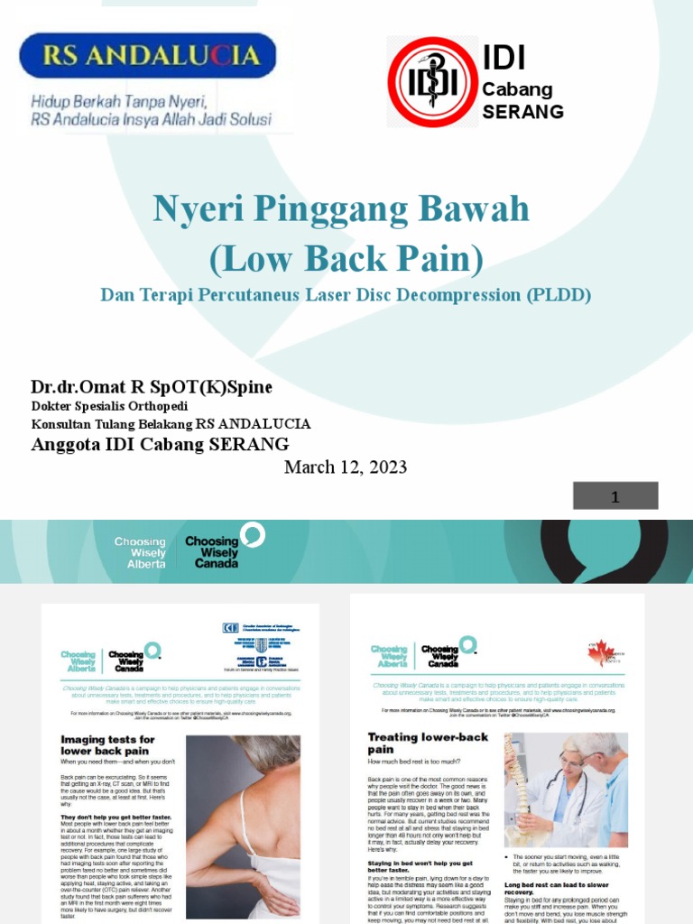 PLDD Pada Back Pain | PDF | Kesehatan Holistik