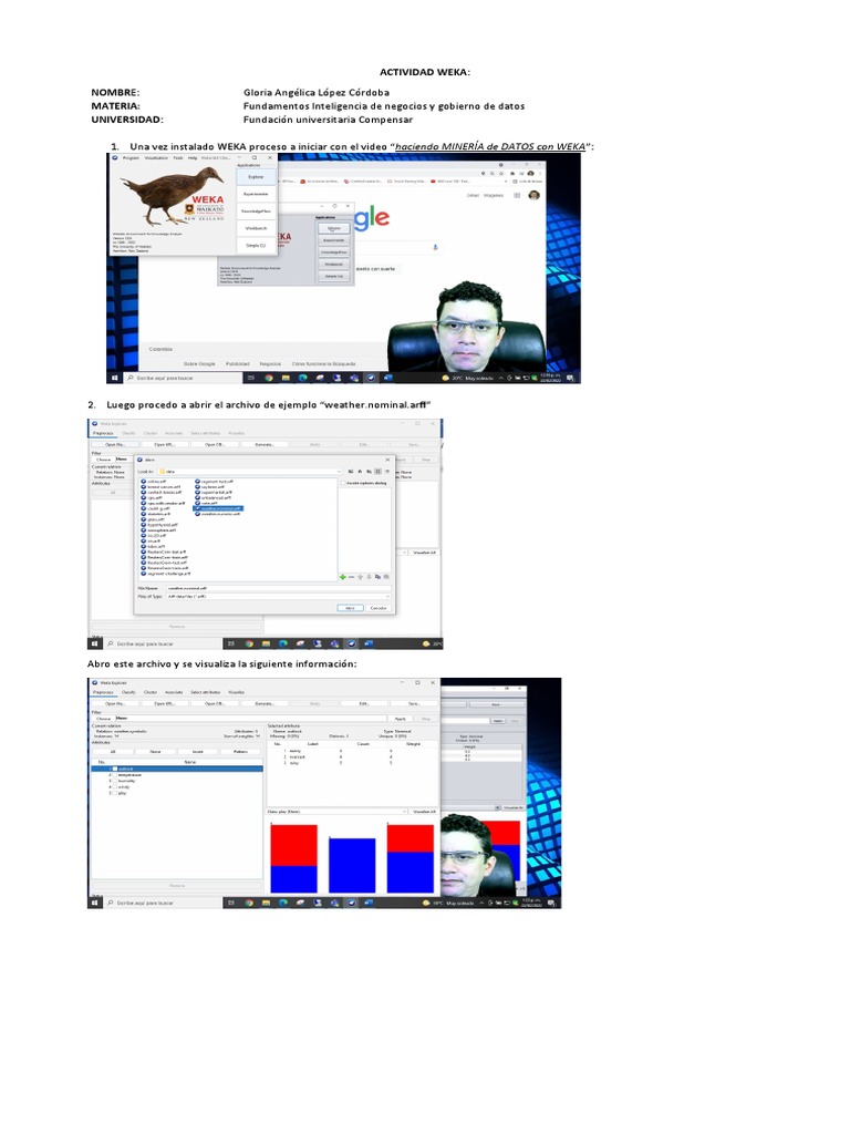 Actividad Weka | PDF