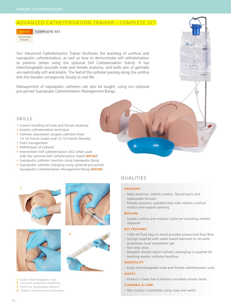 Katalog Advanced Catheterisation Trainer | PDF | Animal Anatomy ...