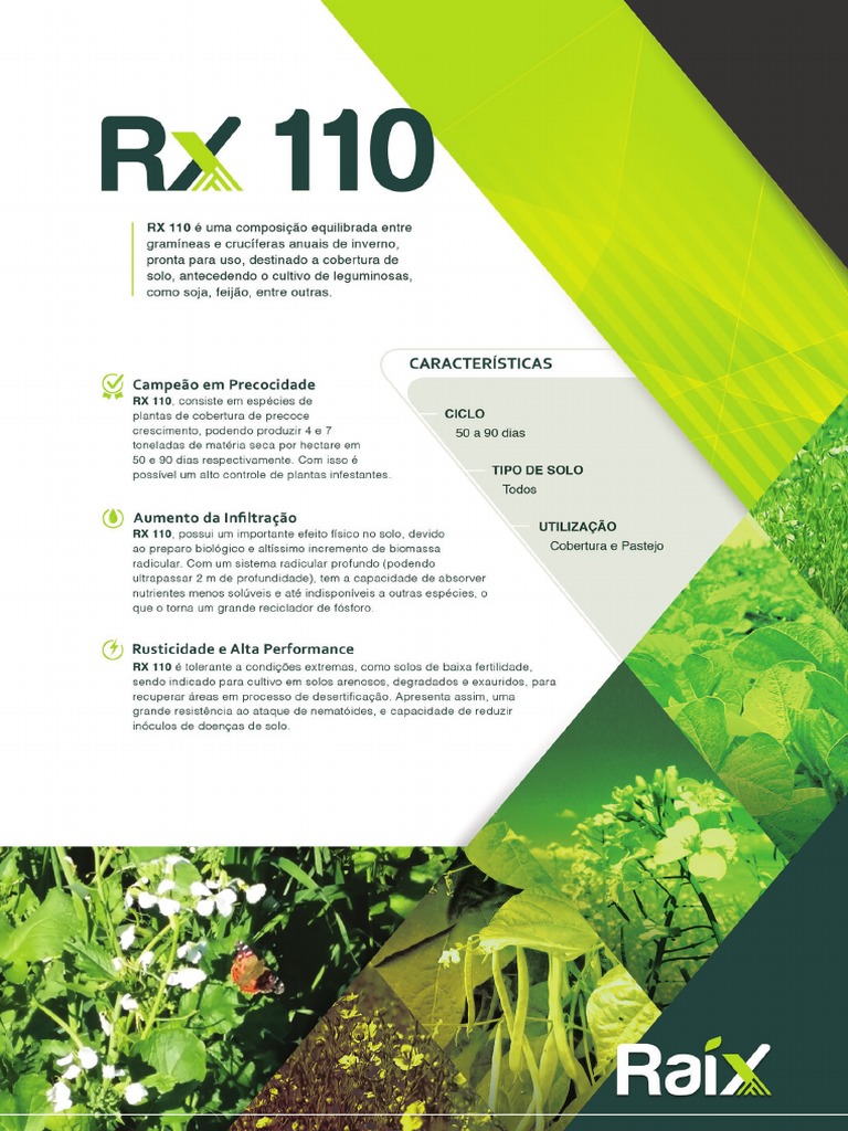 RX 110 Final | PDF
