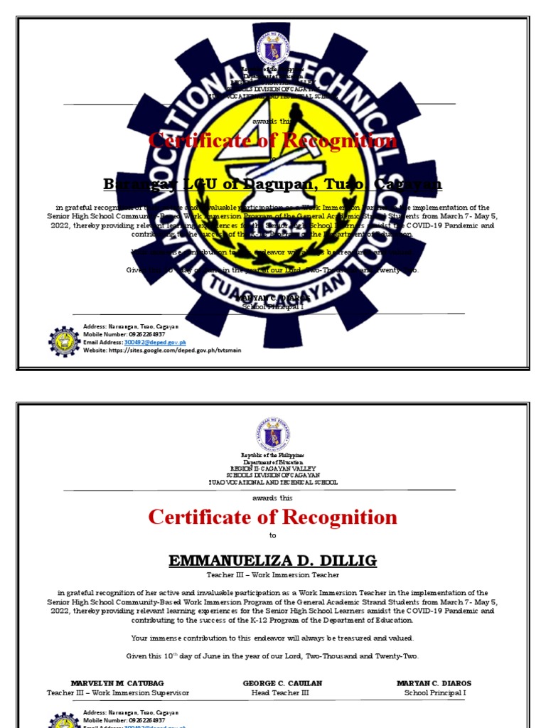 Immersion Brgy Cert | PDF | Cognition | Behavior Modification