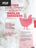 Hisex Brown Layer Management Guide | PDF | Selective Breeding | Chicken