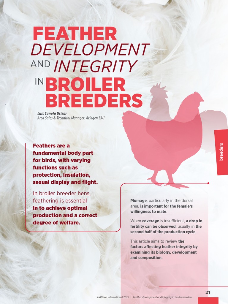 Feather Development and Integrity Breeders PDF | Download Free PDF ...