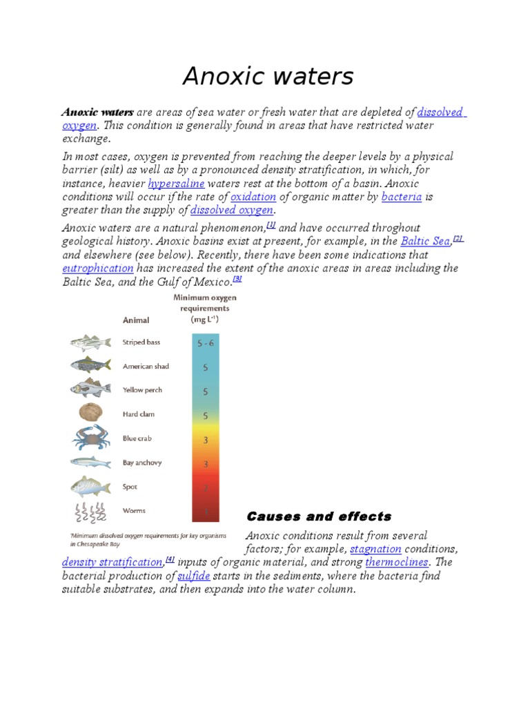 Anoxic Waters: Anoxic Waters Are Areas of Sea Water or Fresh Water That ...