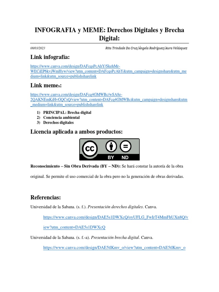 INFOGRAFIA Derechos Digitales y Brecha Digital | PDF