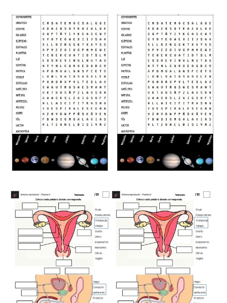Sopa de Letras Sistema Solar | PDF