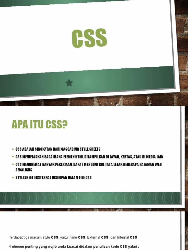 Panduan Dasar CSS untuk Pemula | PDF
