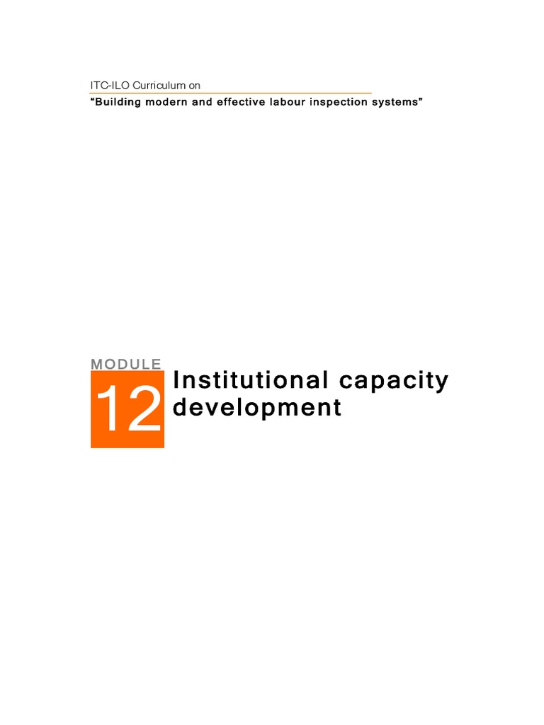 3.ILO-Institutional Capacity Development | PDF | Capacity Building ...