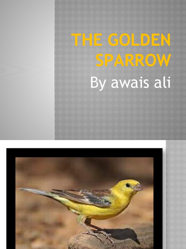 The golden sparrow.pptx | PDF