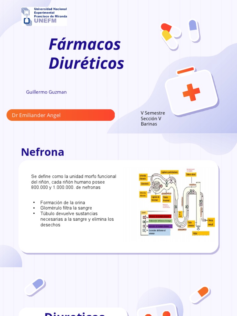 Farmacos Diureticos | PDF | Farmacocinética | Riñón
