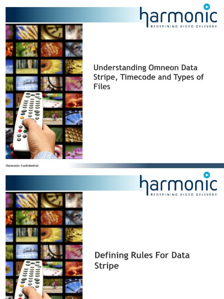 Understanding Omneon Data Stripe, TC and Type of File | PDF | Computer ...