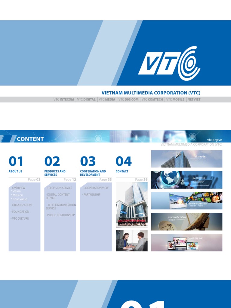Vietnam Multimedia Corporation (Vtc) | PDF | Television | E Commerce
