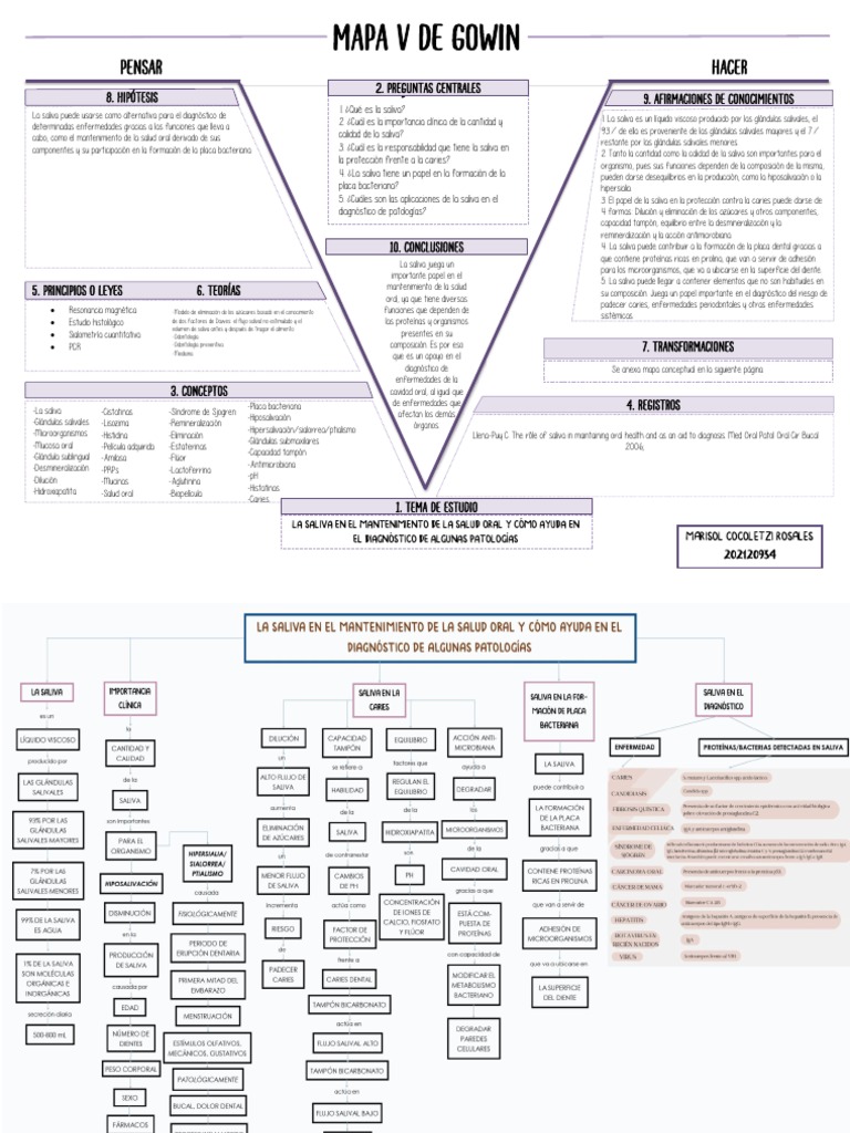 Diagrama V de Gowin | PDF | Saliva | Cuidado de la salud