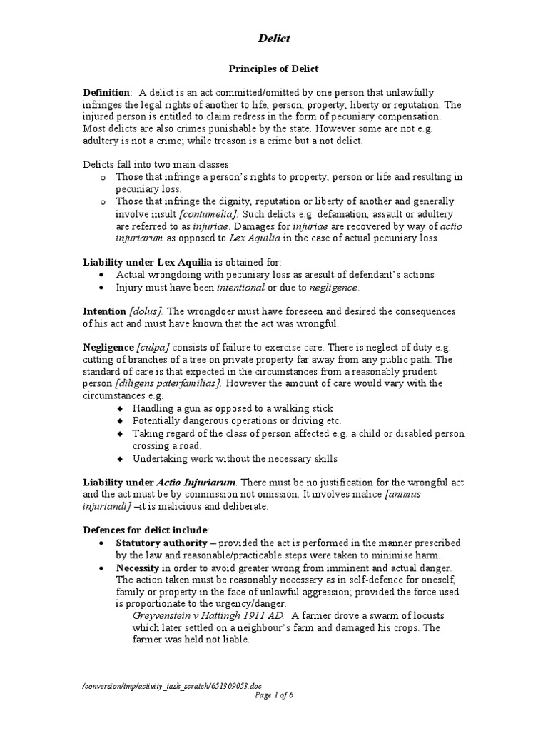 Principles of Delict | PDF | Legal Liability | Vicarious Liability