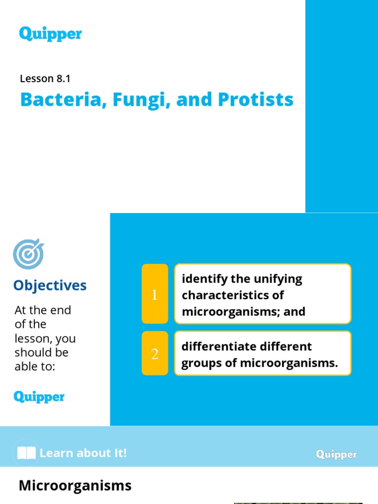Science 7 8.1 Bacteria, Fungi, and Protists | PDF | Microorganism | Fungus