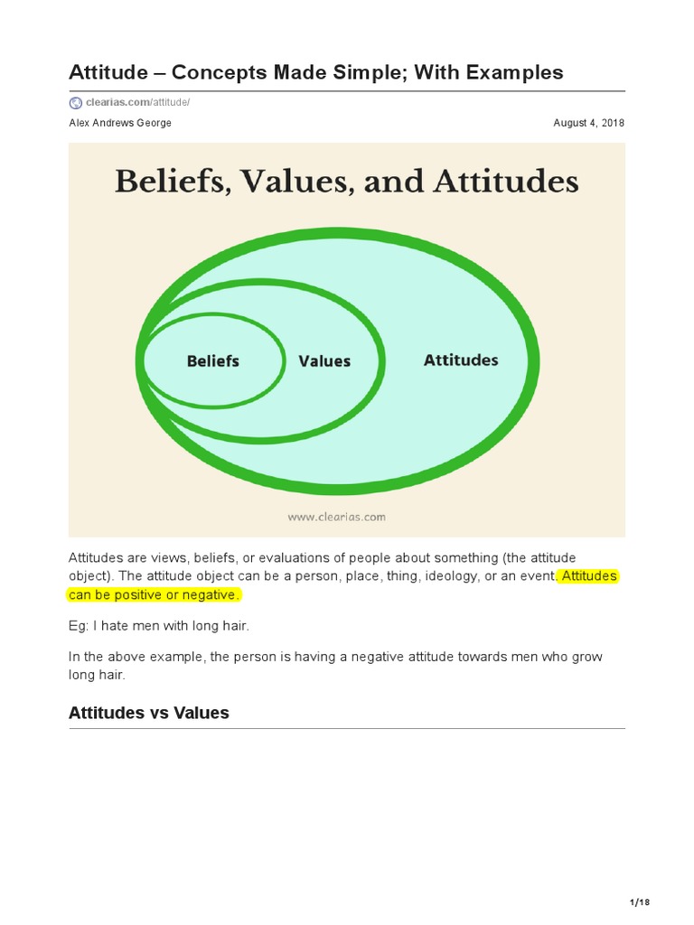 Attitude Concepts Made Simple With Examples | PDF | Attitude ...