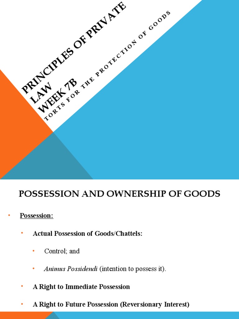 Torts Slides | PDF | Conversion (Law) | Common Law