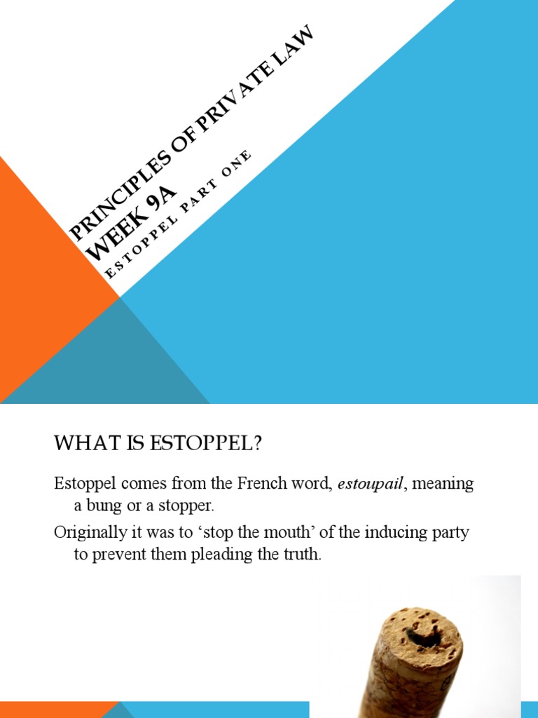 Understanding Estoppel in Private Law | PDF | Estoppel | Contract Law