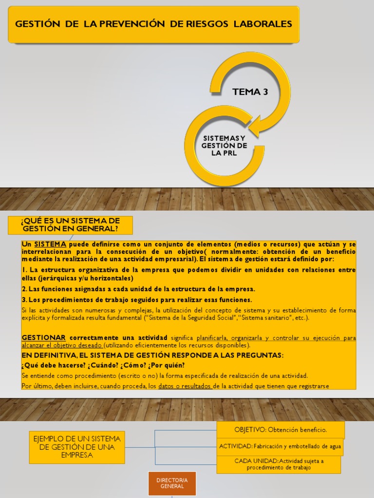 Tema 3 Sistemas y Gestion de La Prevencion Riegos Laborales | PDF