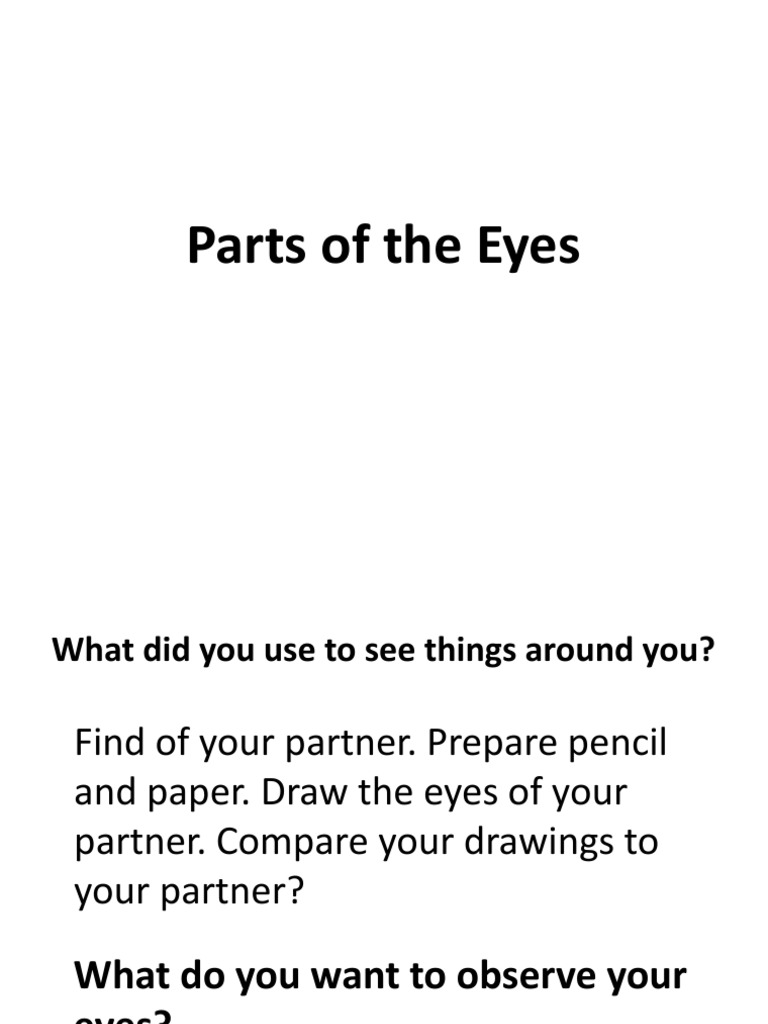 Parts of The Eyes | PDF | Eye | Retina