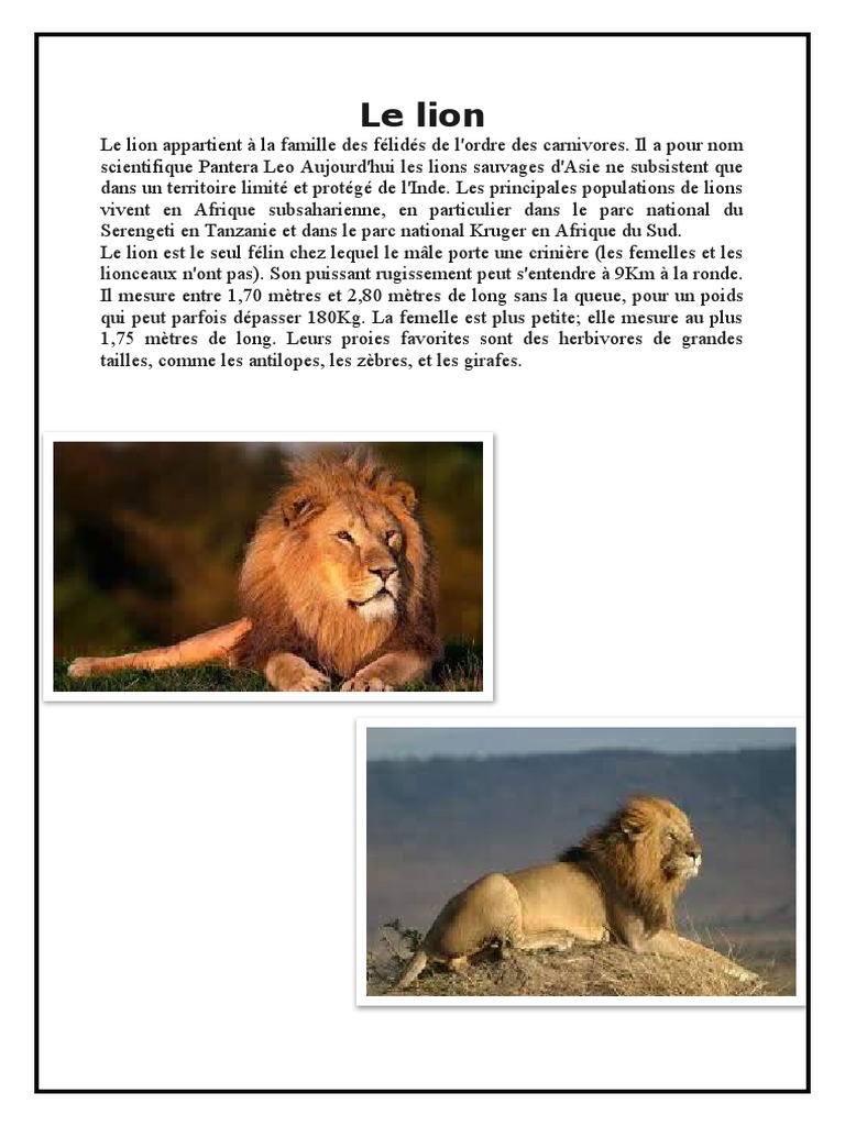 Le Lion | PDF