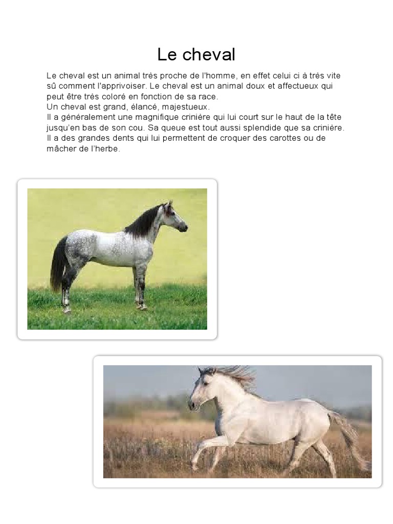 Caractéristiques et beauté du cheval | PDF | Voyages | Maison et jardin