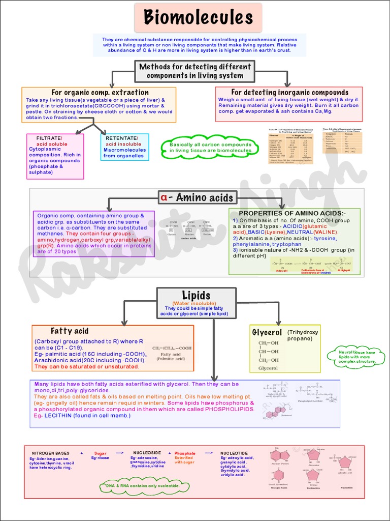 Biomolecules Mindmap | PDF | Cofactor (Biochemistry) | Enzyme