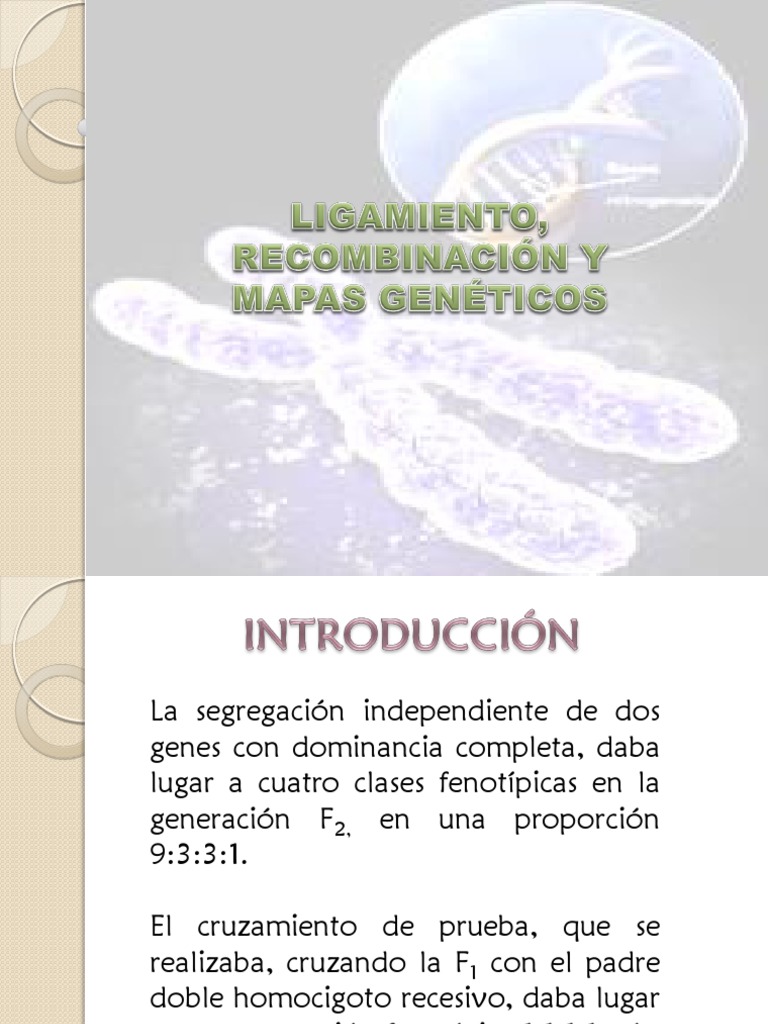 Presentacion Ligamiento-Gen - Tico-Recombinaci - n-y-Mapas-Gen - Ticos PDF | PDF | Mitosis ...