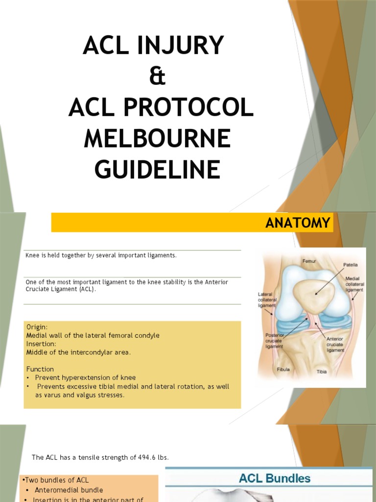 Acl Injury & Acl Protocol Melbourne Guideline | PDF | Knee | Limbs ...
