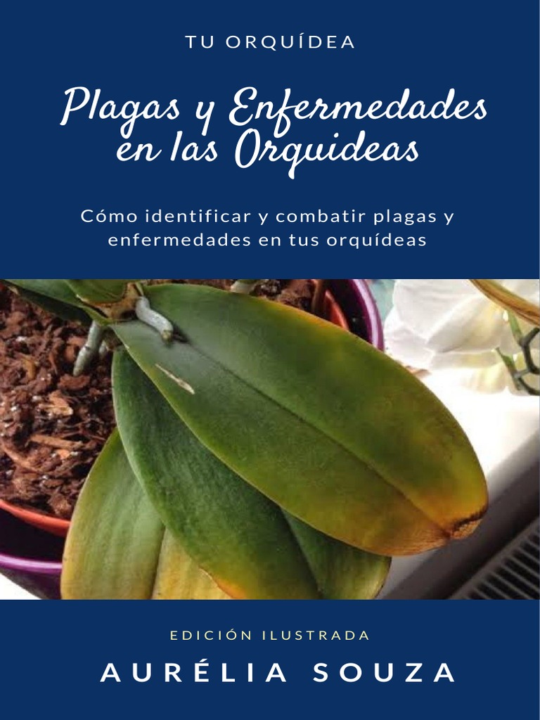 Manual Plagas y Enfermedades en Las Orquideas PDF | PDF | Virus | Plantas