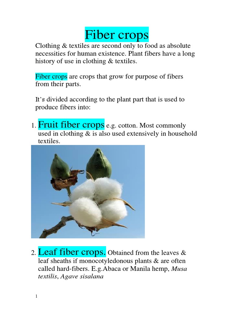 Fiber Crops | PDF | Home & Garden