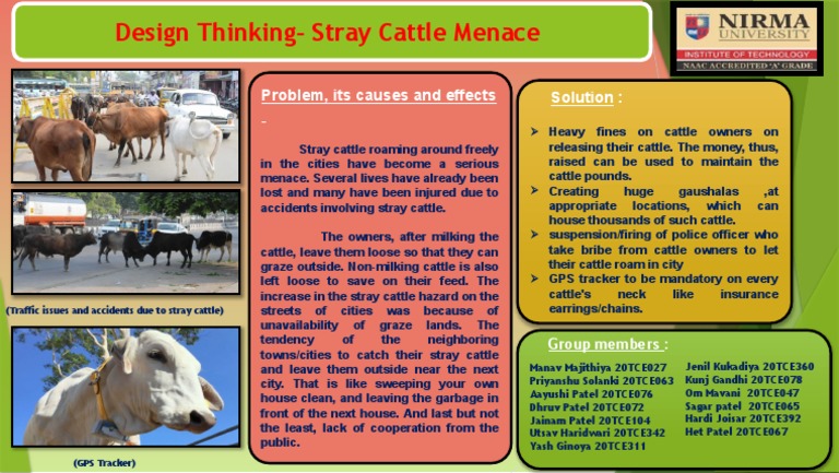 Design Thinking Poster (February Group) | PDF | Ethnobiology | Livestock