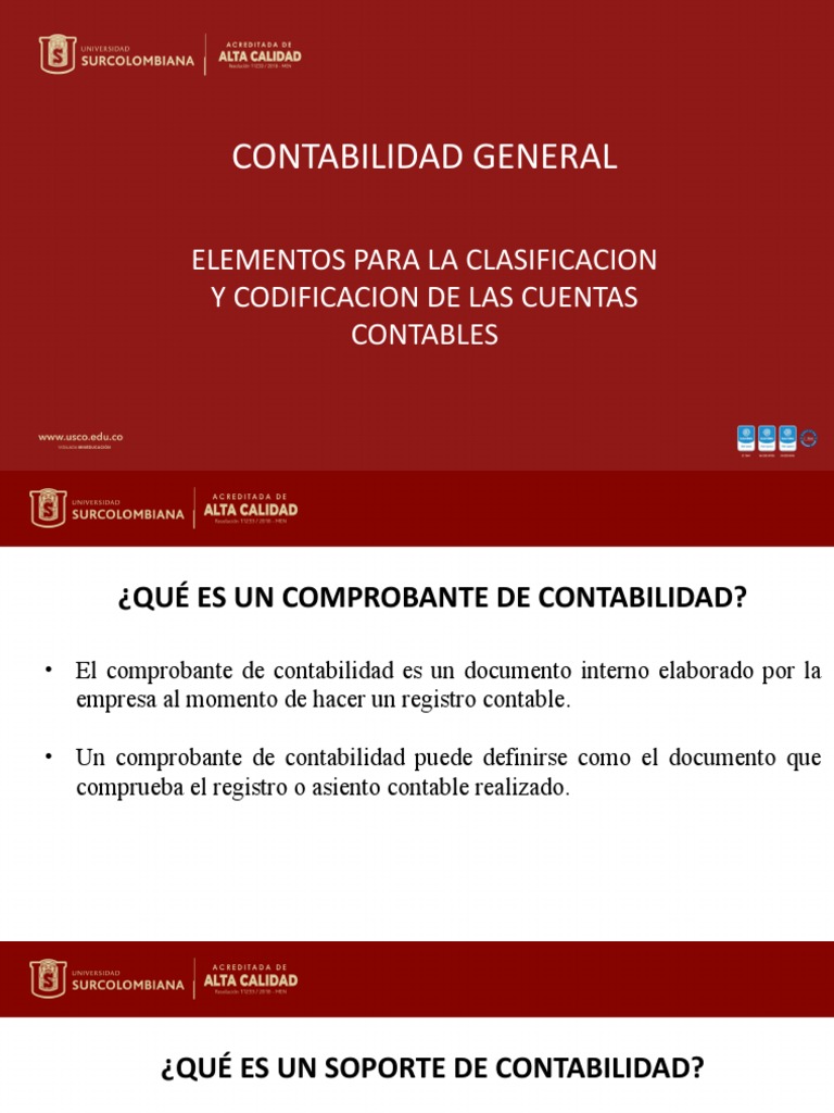 Soportes Contables | PDF | Contabilidad | Factura