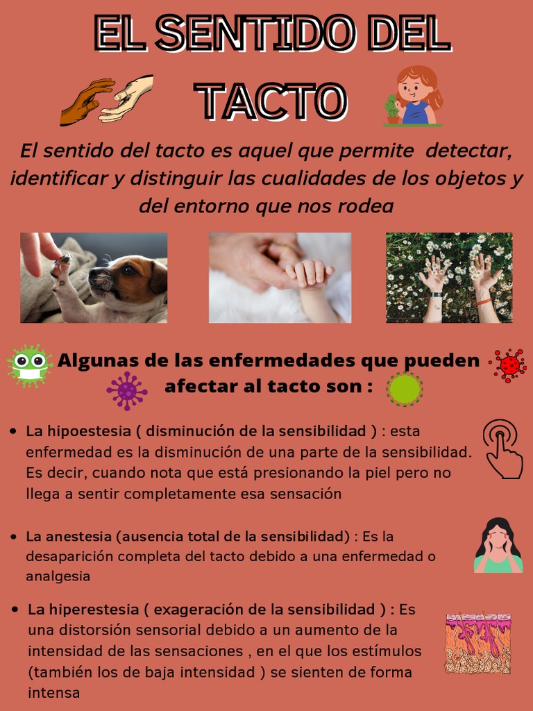 Enfermedades del sentido del tacto | PDF