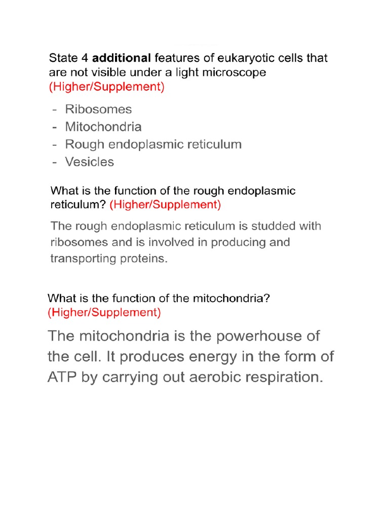 Igcse Biology Notes Year 10s Felisya Erina Pdf