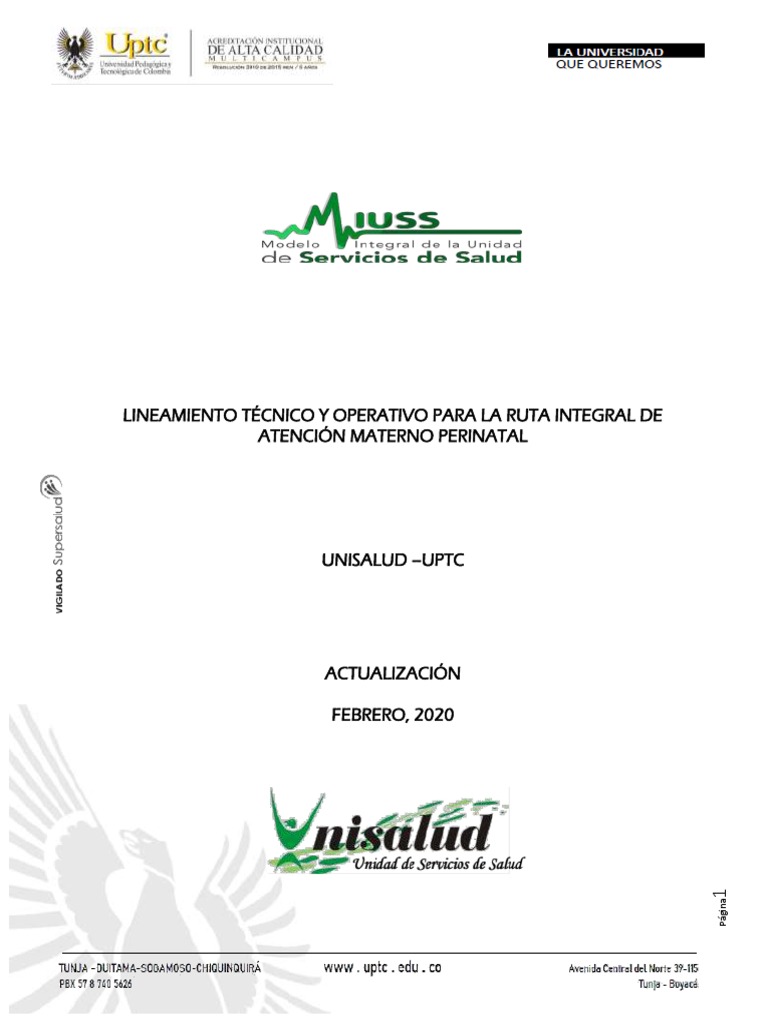 Lineamiento Ruta Materno Perinatal PDF | PDF | Aborto | El embarazo