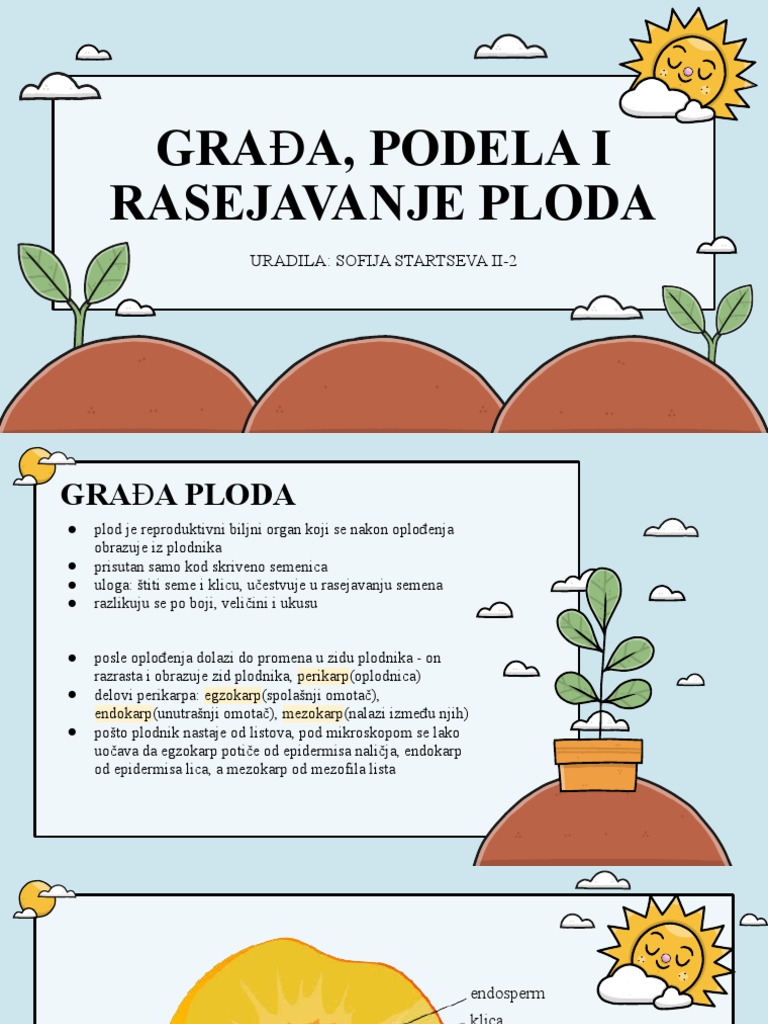 GRAĐA, PODELA I RASEJAVANJE PLODA - Sofija Startseva II-2 | PDF