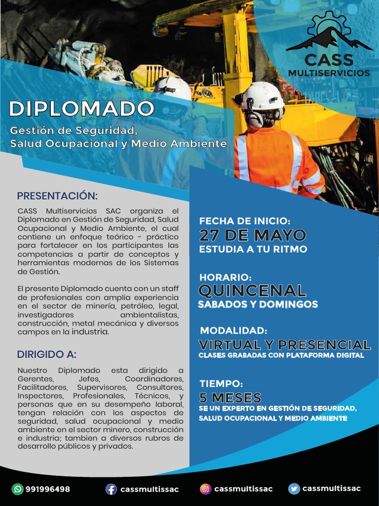 Brochure A4 Diplomado I | PDF