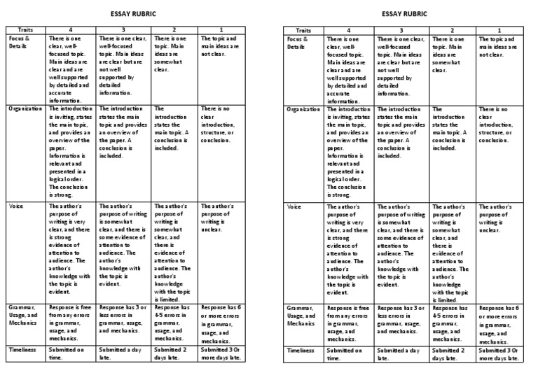 Comprehensive Essay Grading Rubric | PDF | Cognition | Cognitive Science
