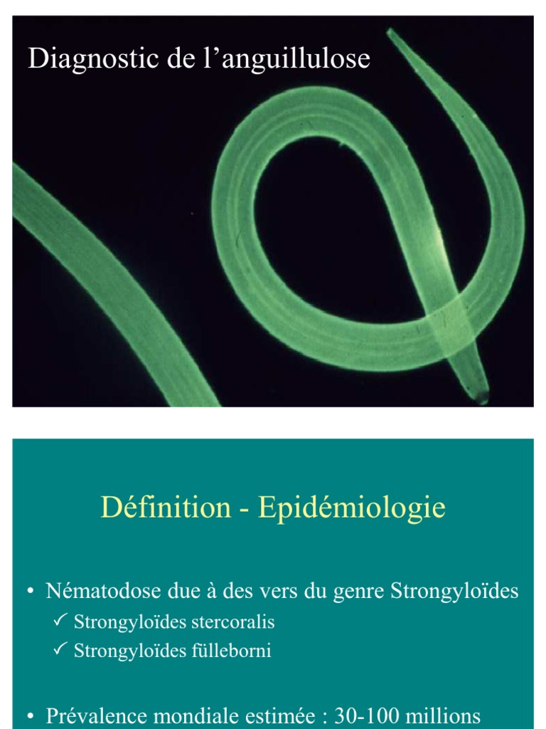 Anguillulose : Symptômes et Traitement | PDF | Développement personnel