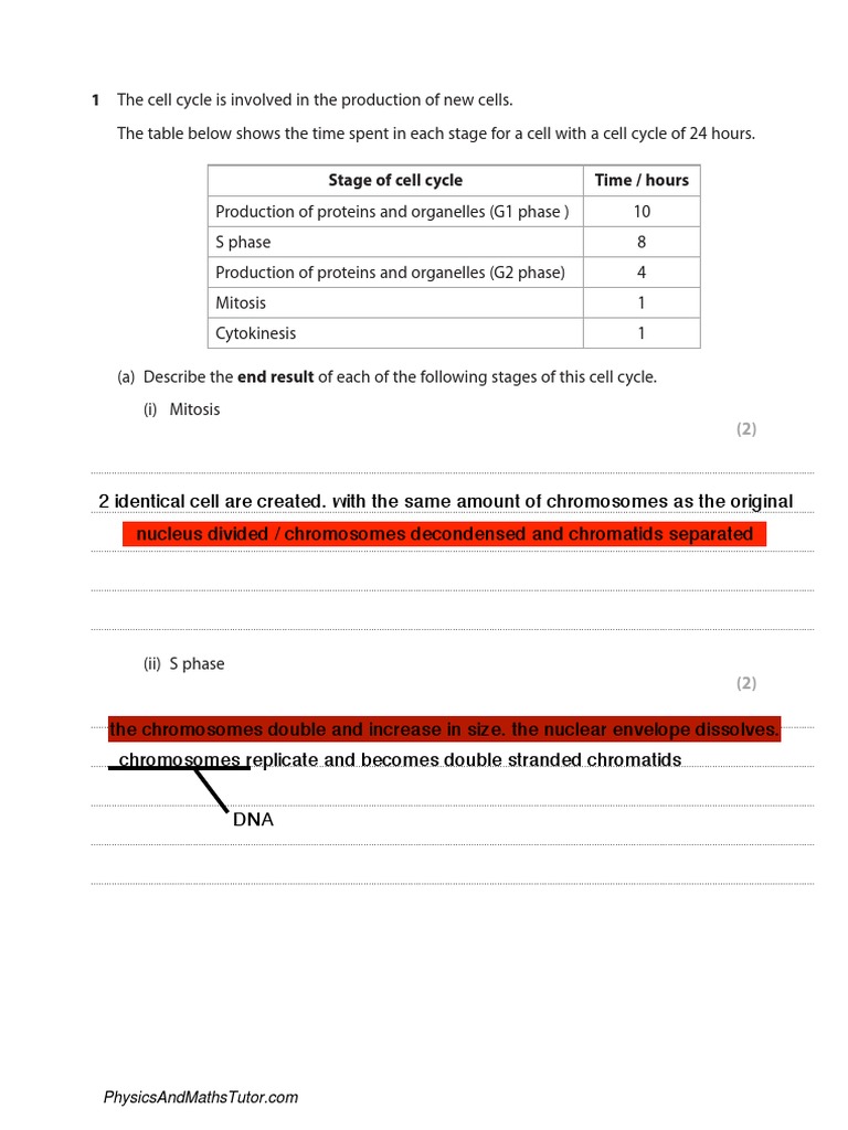 1) Eukaryotic Cell Cycle & Division QP PDF | PDF | Cell Cycle ...