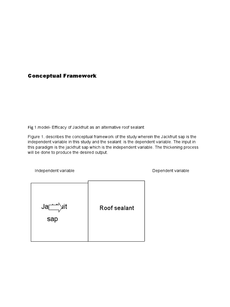 Conceptual Framework | PDF