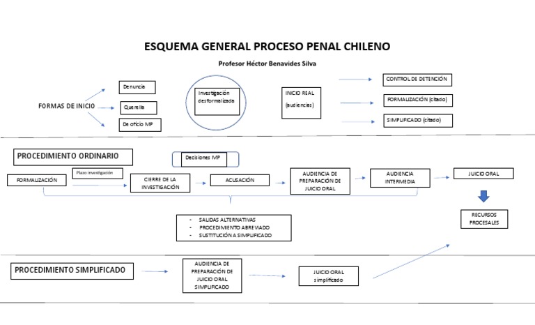 Esquema Proceso Penal | PDF